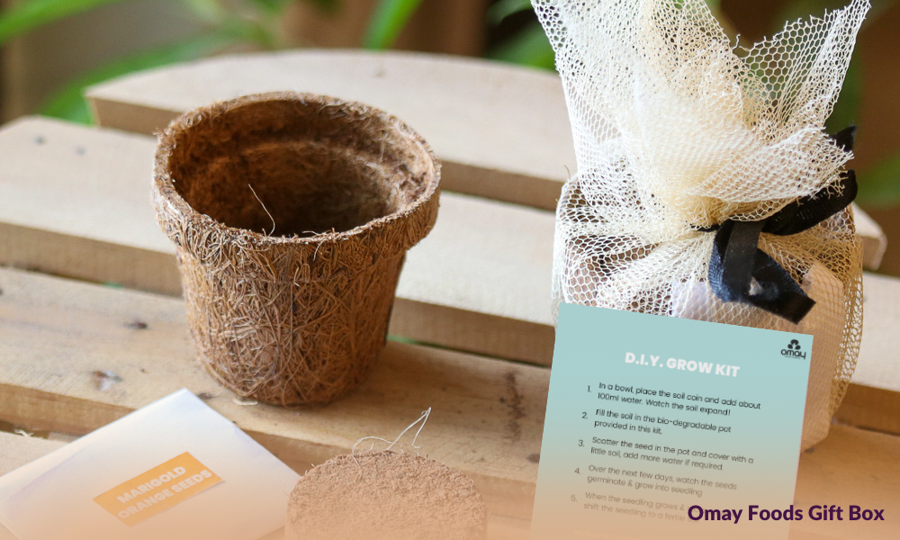 Awesome Grow Kit Gift Box - Omay Foods